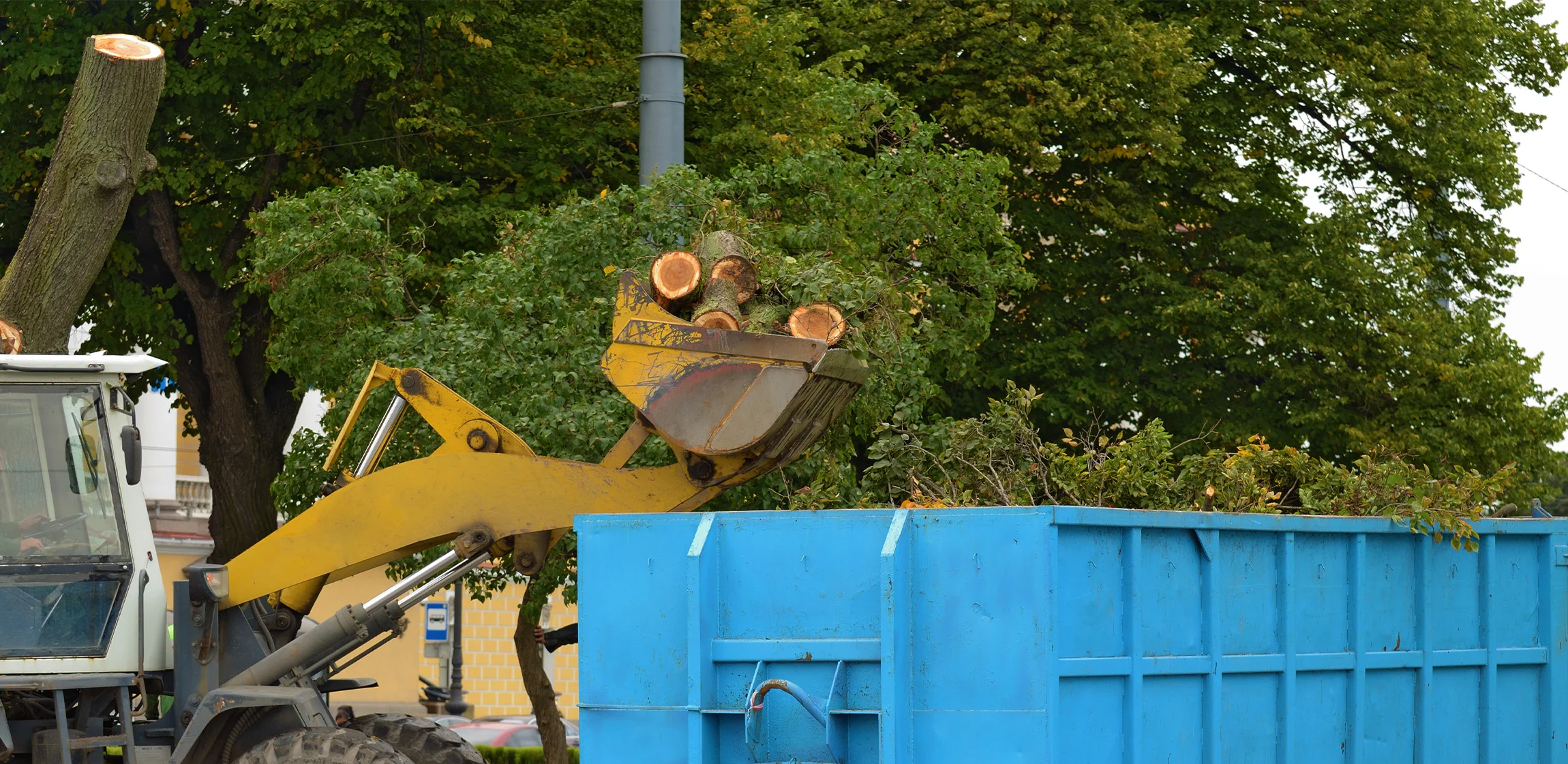 Find Yard Waste Dumpsters Near You | Hometown Dumpster Rental Find Yard Waste Dumpsters Near You | Hometown Dumpster Rental